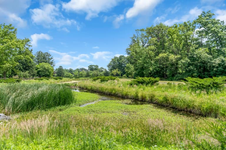 The Park | New Luxury Rentals | 20 Acres of Nature