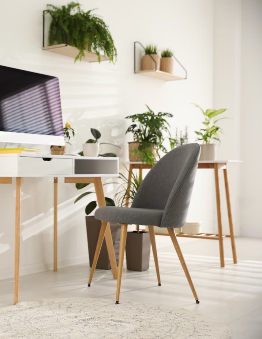 The Park Roselle | Photo Gallery | See For Yourself